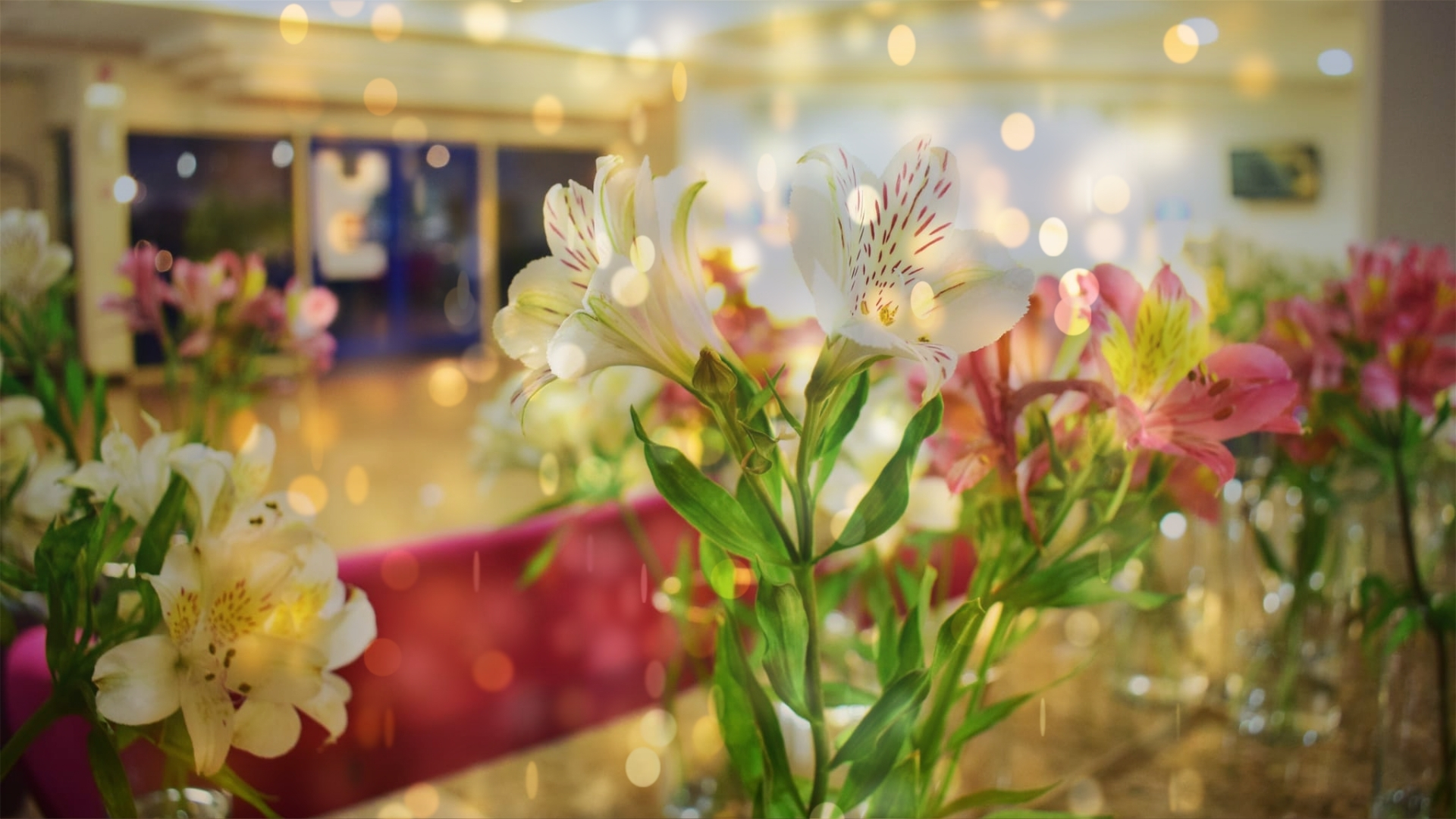 HOTEL BAVARIA BLU – Explore, Dream, Discover!